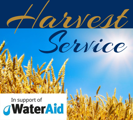 HARVEST PROJECT - St Mary's Church Tickhill